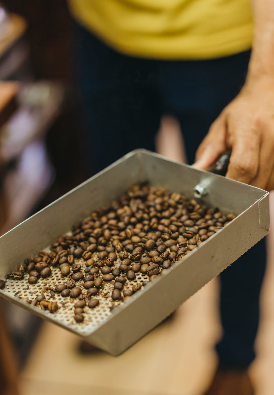 Classic Britt Coffee Tour | Explore Costa Rica's Coffee Tradition
