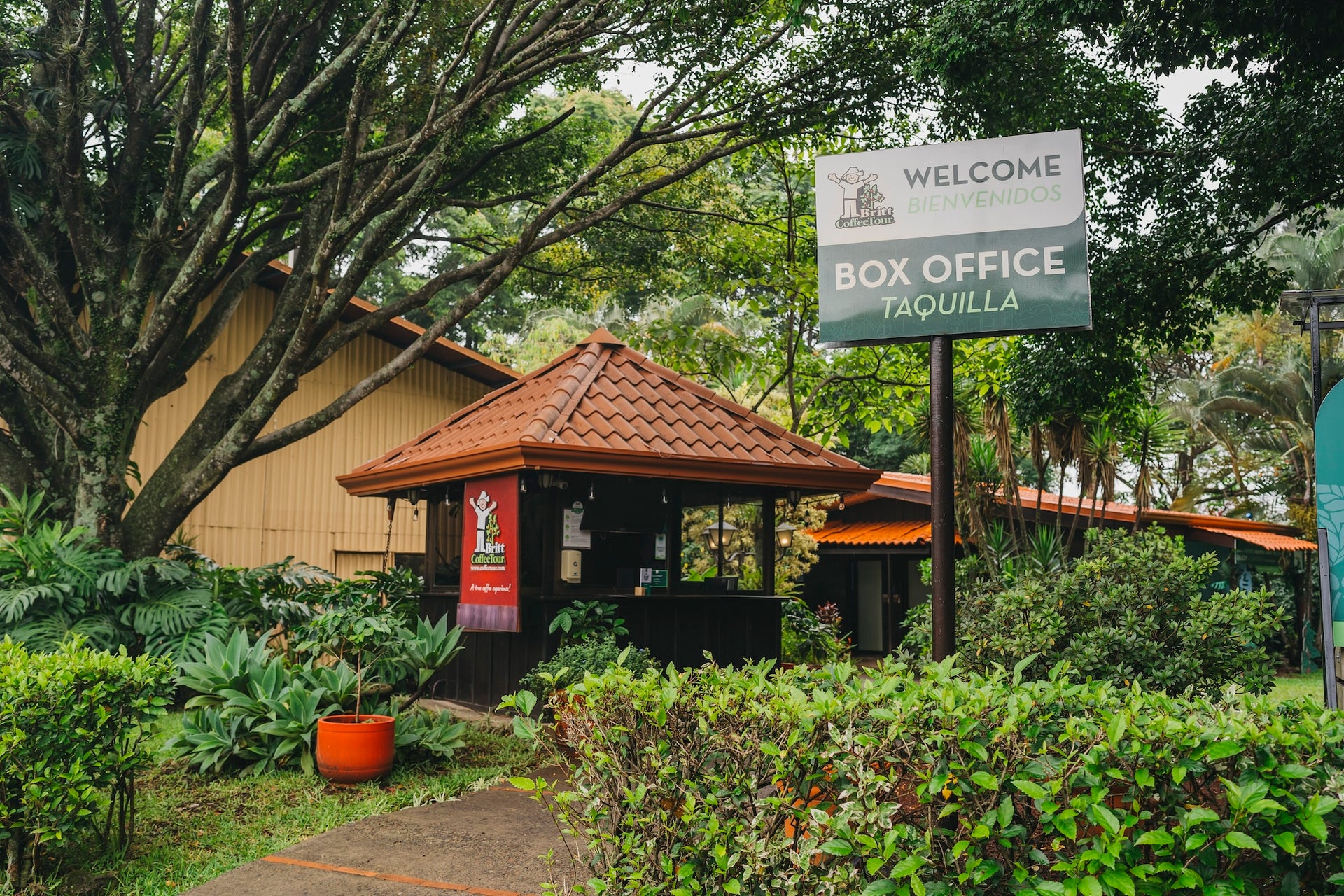 Uncover Costa Rica's Premier Coffee Tour at Britt Coffee Tour