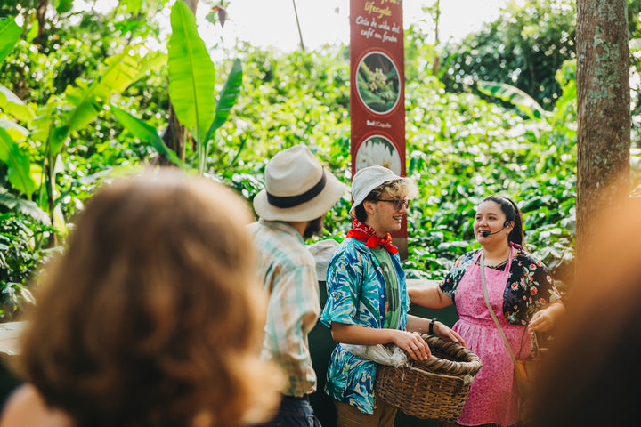 Classic Britt Coffee Tour | Explore Costa Rica's Coffee Tradition