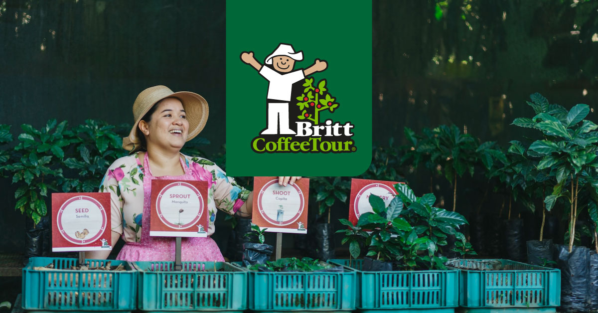 Classic Britt Coffee Tour | Explore Costa Rica's Coffee Tradition