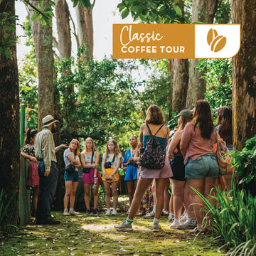 Unveil the Secrets of Gourmet Coffee | Britt Coffee Tour Costa Rica